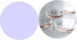 Home Page - Scynexis